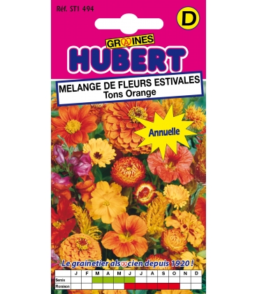 graines a semer de Fleurs pour bouquets oranges
