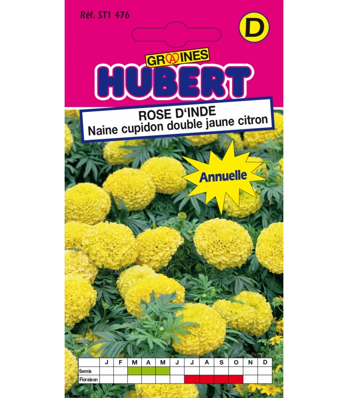 graines a semer de Rose d'Inde Naine Cupidon double jaune citron.