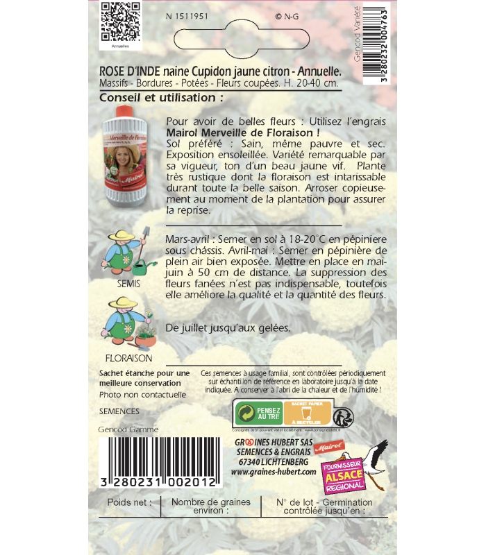 graines a semer de Rose d'Inde Naine Cupidon double jaune citron.